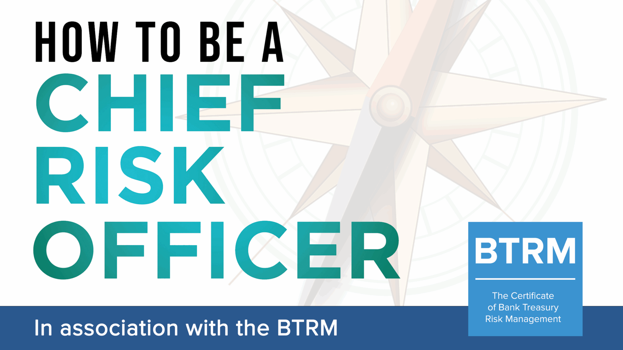 Courses: How to Be a Chief Risk Officer - C-Suite Framework